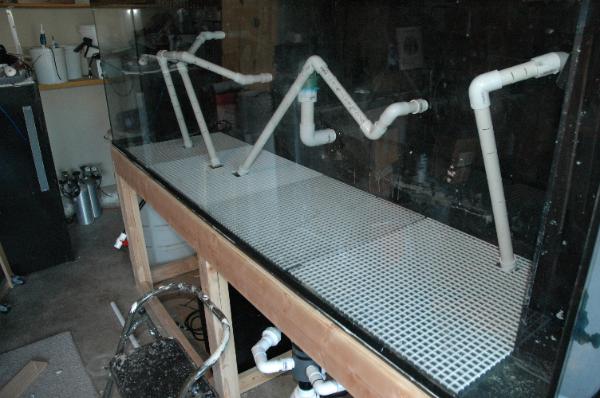 Closed Loop System Pics and benefits | Reef2Reef